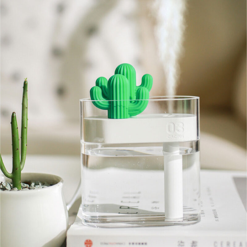 USB Crystal Cactus Humidifier » Gift² for you @iregee.com