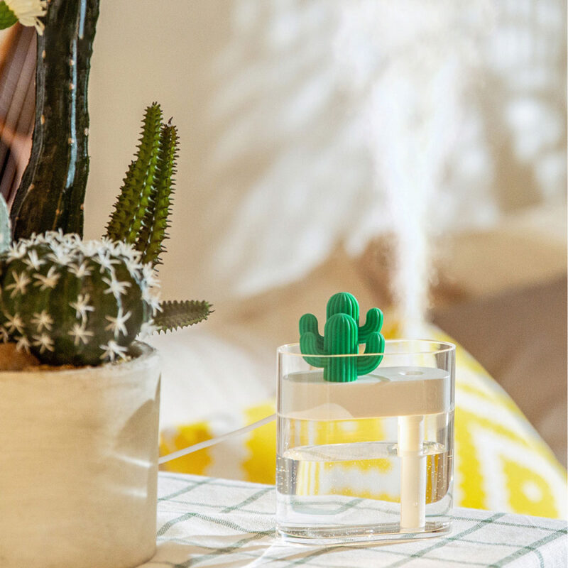 USB Crystal Cactus Humidifier » Gift² for you @iregee.com