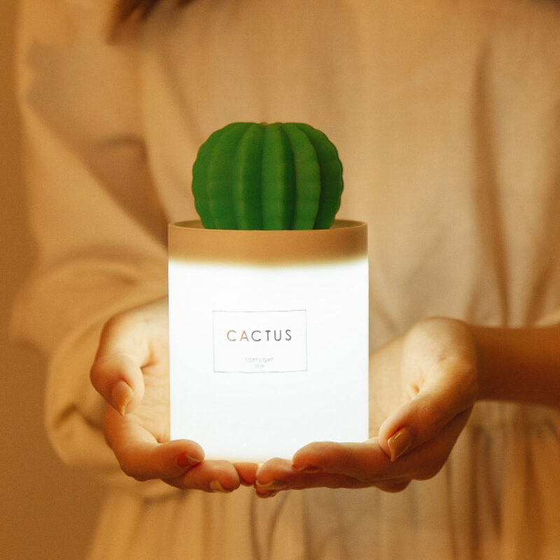 Cactus Humidifier with Night Light » Gift² for you @iregee.com