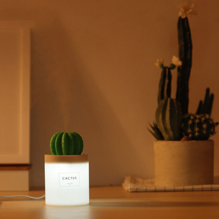 Cactus Humidifier with Night Light » Gift² for you @iregee.com