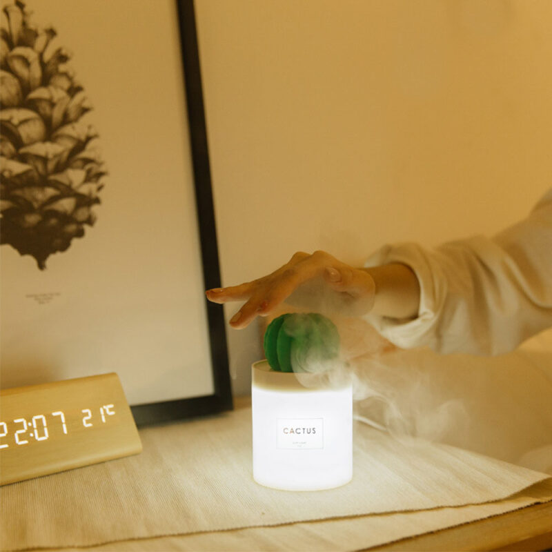 Cactus Humidifier with Night Light » Gift² for you @iregee.com