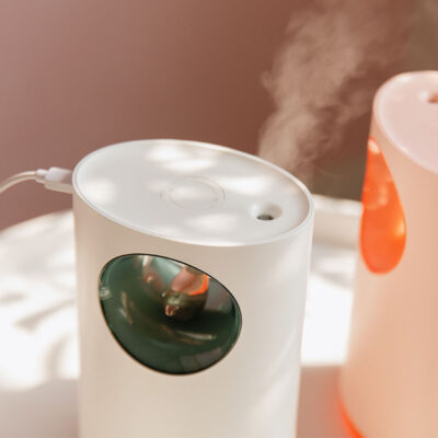 Birdsong Music Humidifier » Gift² for you @iregee.com