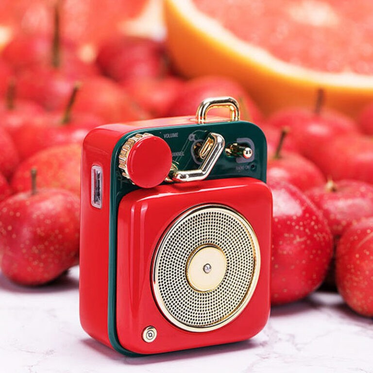 Mini Record Player Speaker » Gift² for you @iregee.com